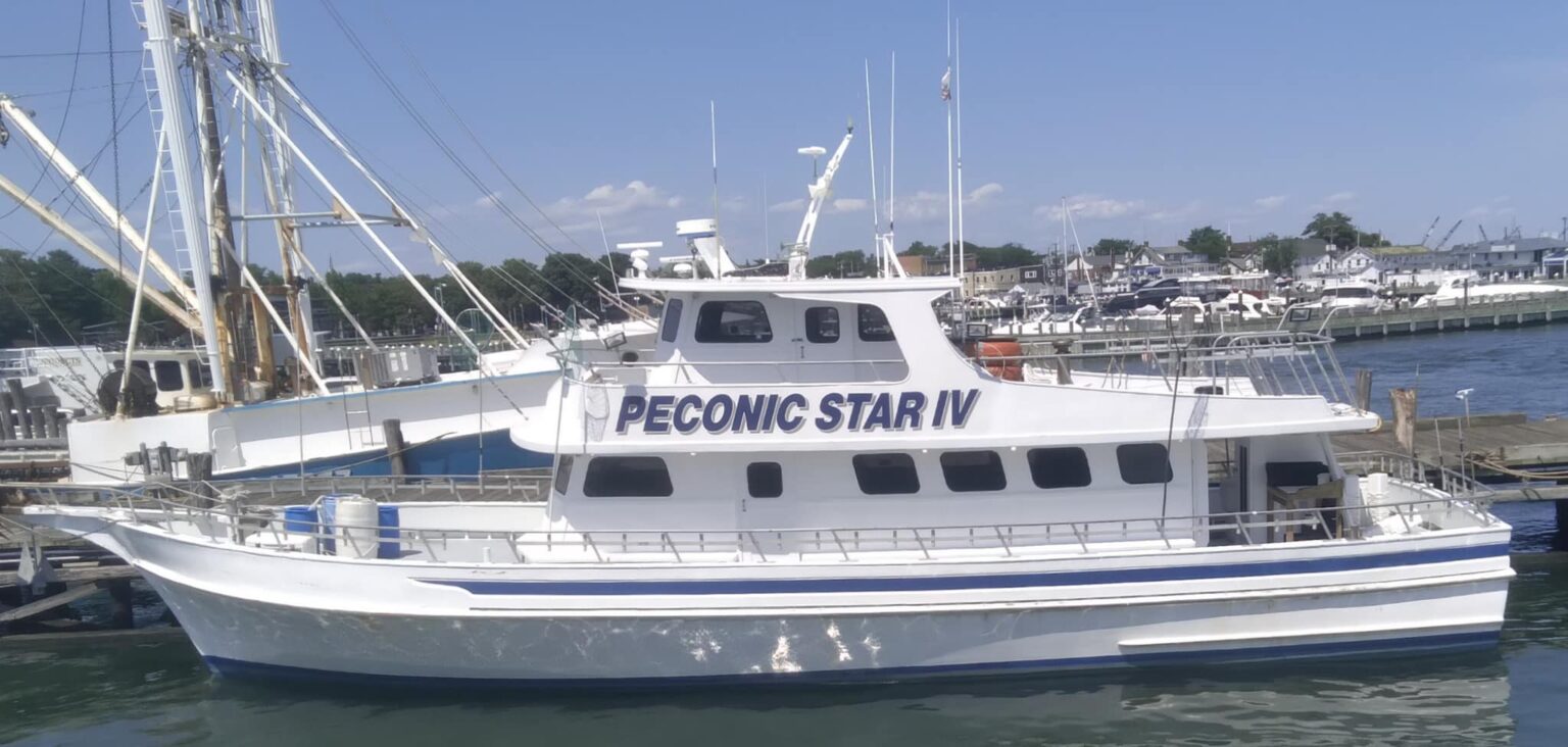 Peconic Star Fishing, north fork, Greenport, Porgy full day